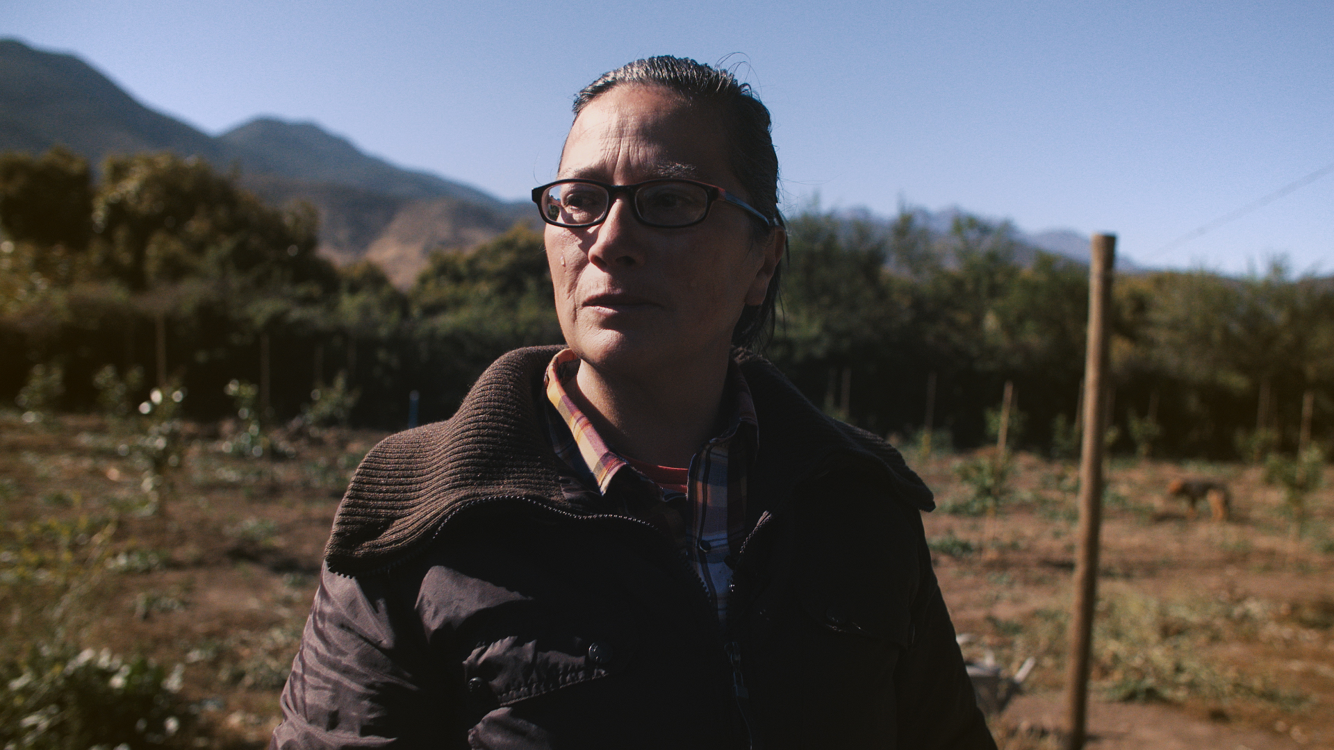 "A recuperar el agua en Chile": Platicamos con Galut Alarcón sobre su ...