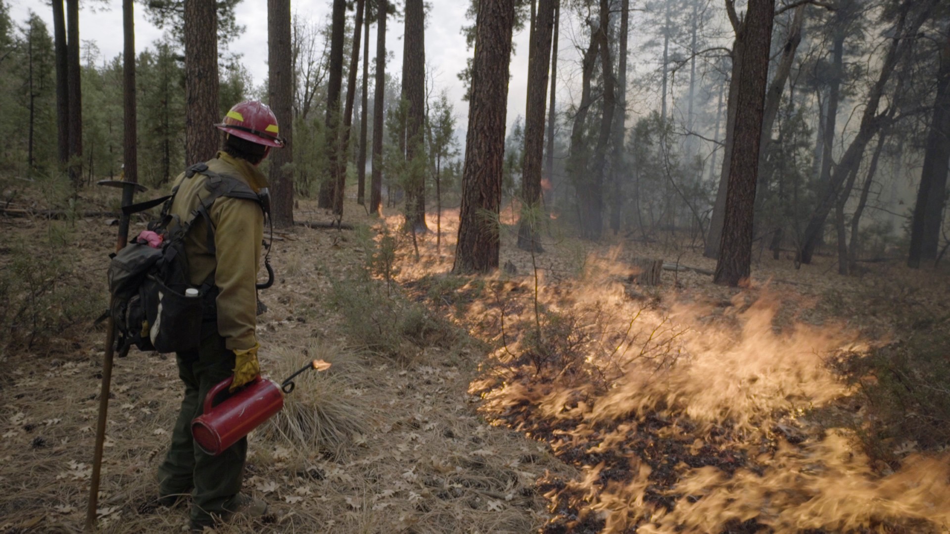 How to literally fight a devastating forest fire with fire – VICE News How to literally fight a devastating forest fire with fire – VICE News