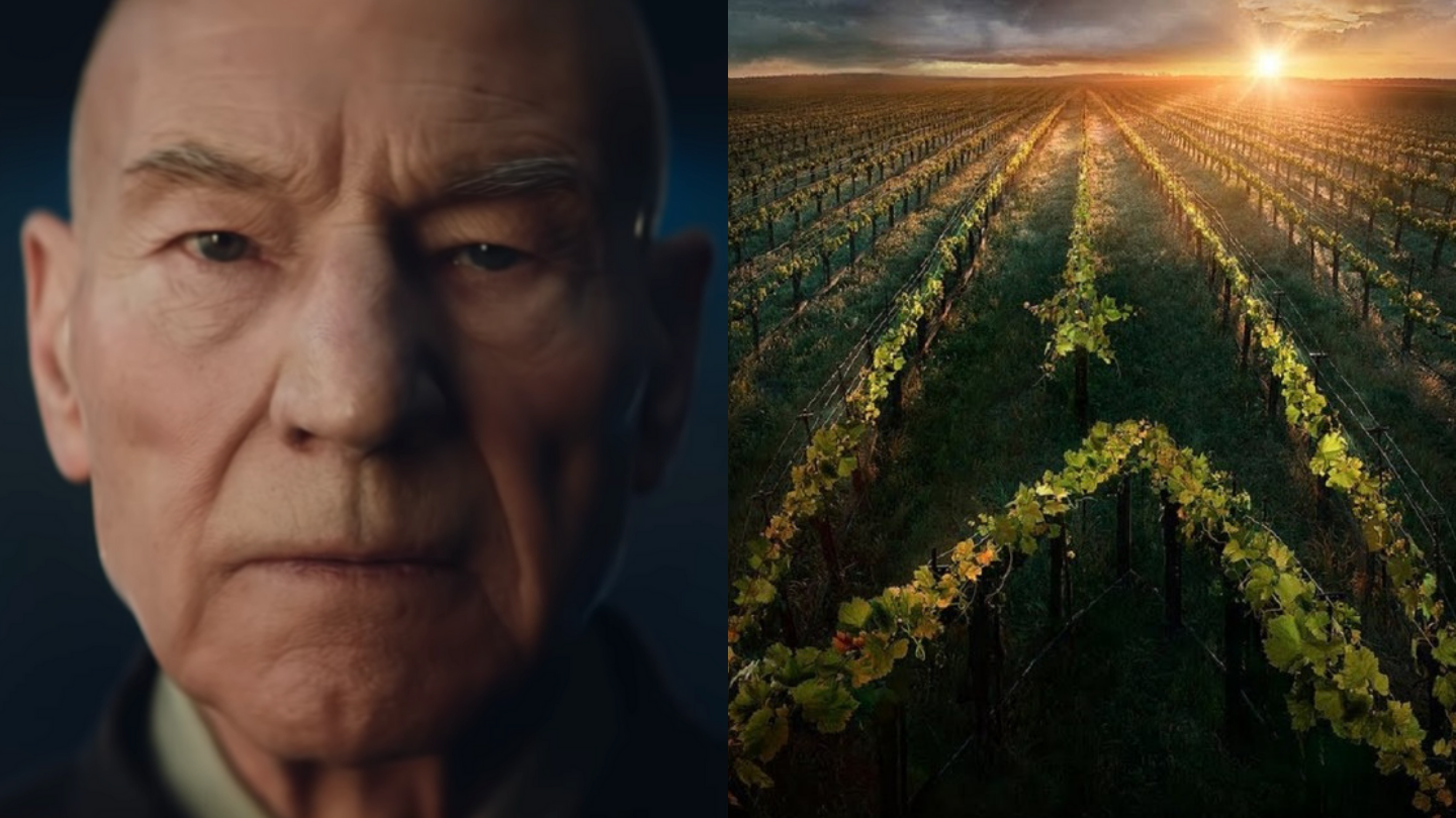 Here's Your First Look at the New 'Star Trek' All About Captain Picard Here's Your First Look at the New 'Star Trek' All About Captain Picard