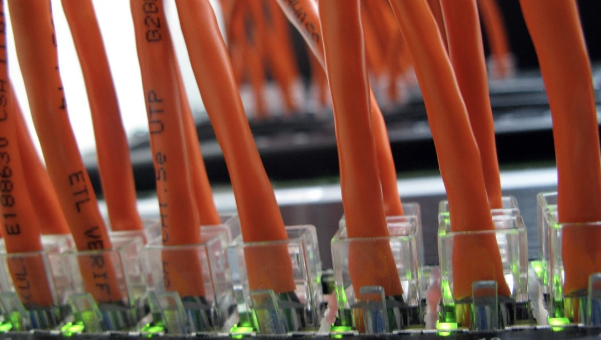 Severed Internet Cable Breaks Virginia Voter Registration Portal On